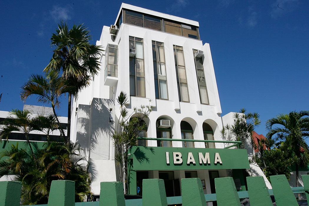 Ex-gerente do Ibama dava 'cobertura' ao maior desmatador da Amazônia