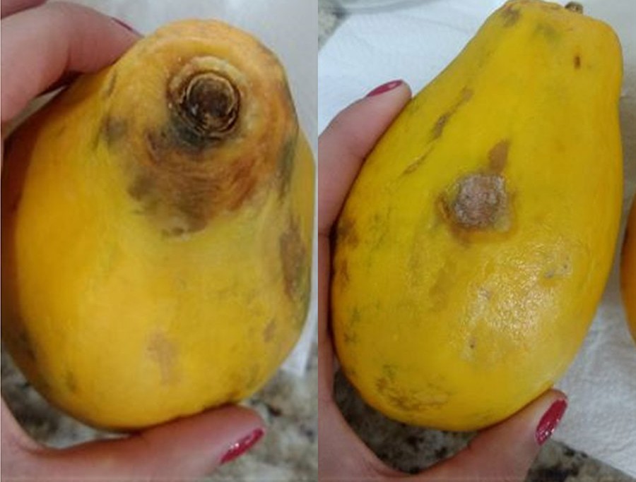 Tirar um pedaço da fruta que está estragada e comer o resto faz mal?
