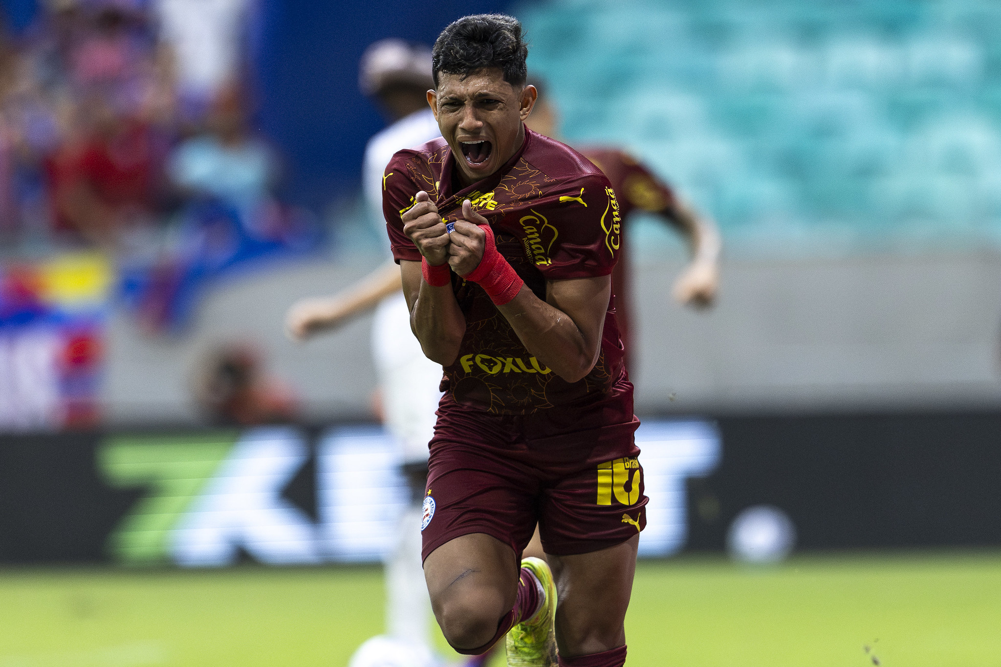 Bahia garante vaga na Libertadores 2026 e alcança feito inédito; veja
