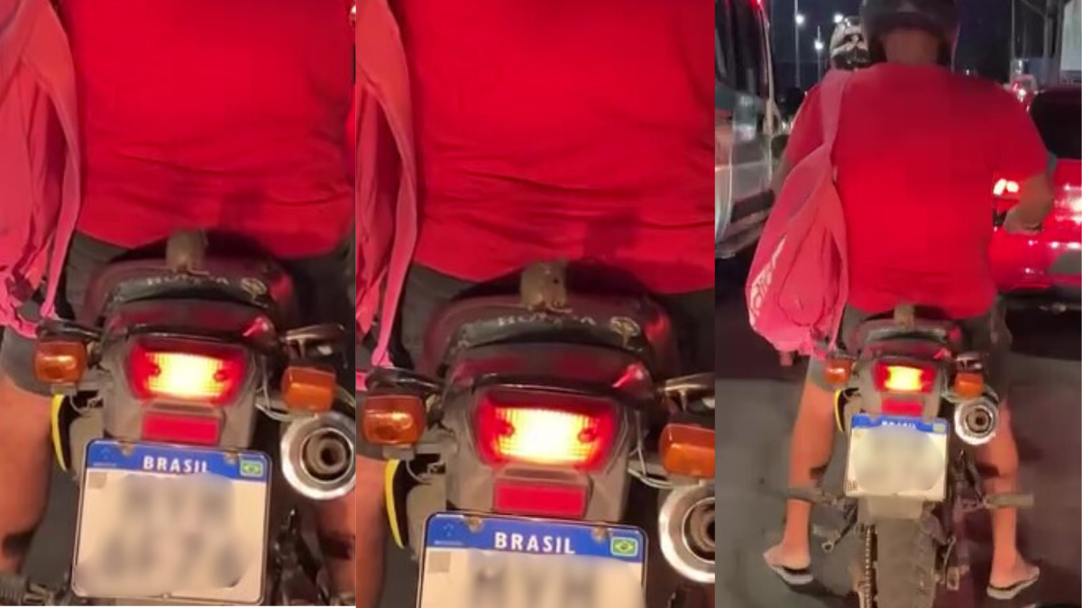 Moto-táxi animal: rato é flagrado “pegando carona” em moto no Ceará
