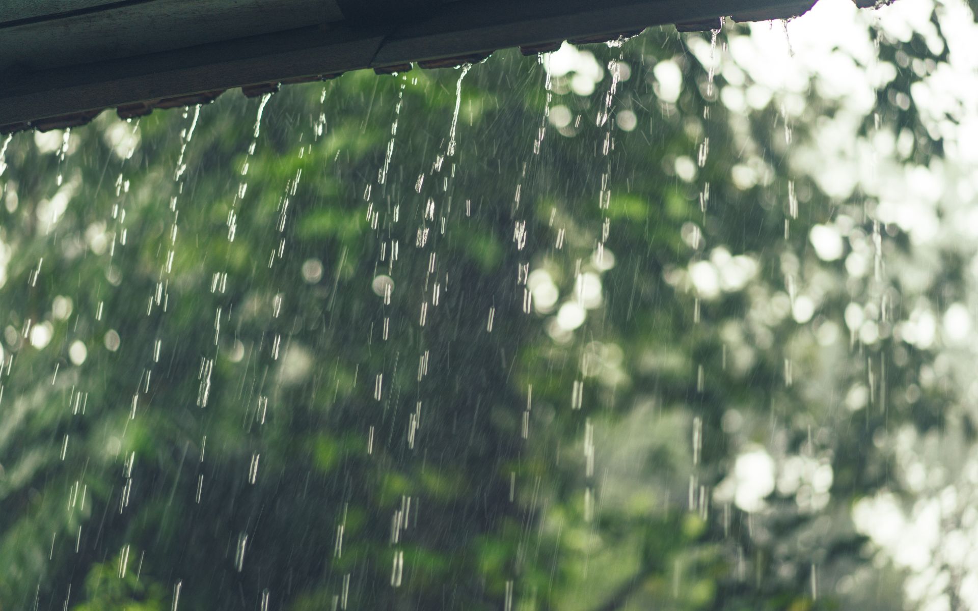 Chuva em cidade da Bahia foi 10 vezes maior em fevereiro