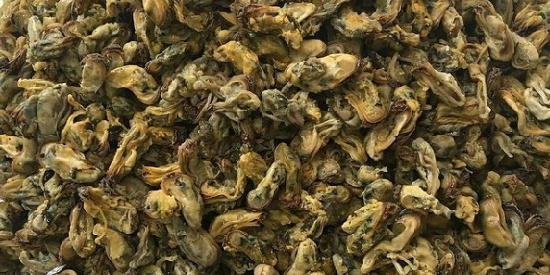 Sururu, o molusco com nome indígena que tem o sabor da Bahia