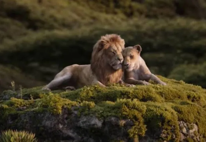 Nala: Saiba significa do nome da filha da cantora IZA